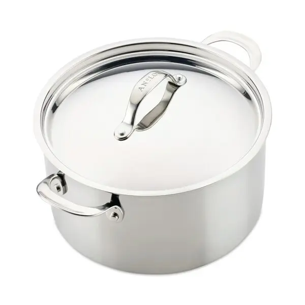 ANOLON Everlast Tri Ply 8 Qt. Stockpot With Lid