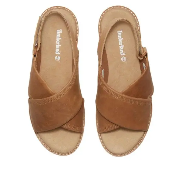 Timberland Safari Dawn Backstrap Sandal - Brown