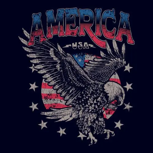 LOST GODS Distressed America Bald Eagle Graphic T-shirt