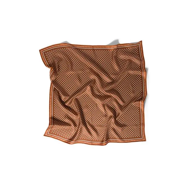Miu Miu Printed Silk Scarf