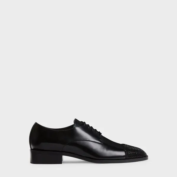 GIUSEPPE ZANOTTI Leather Embellished Lace-up Shoes - Black