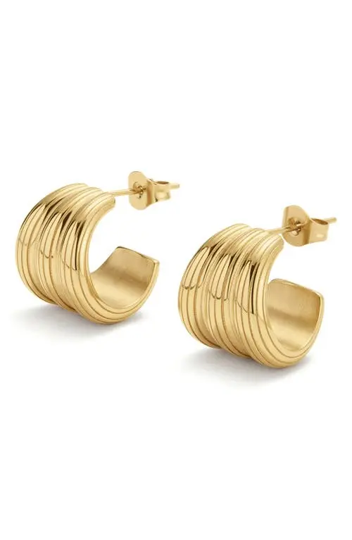 D.LOUISE Ribbed Small Hoop Earrings