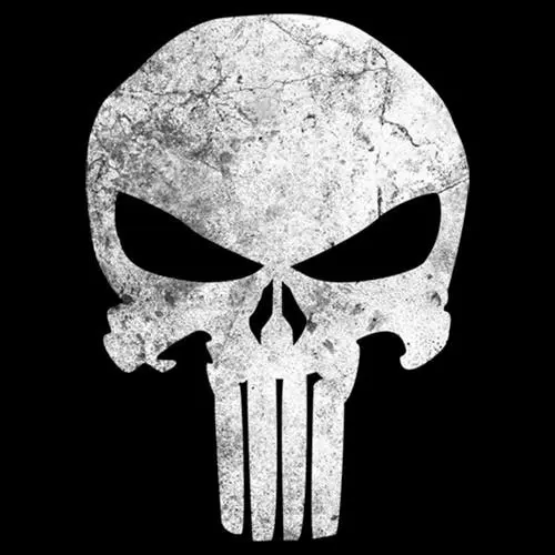 MARVEL Punisher Distressed Skull Logo Graphic T-shirt