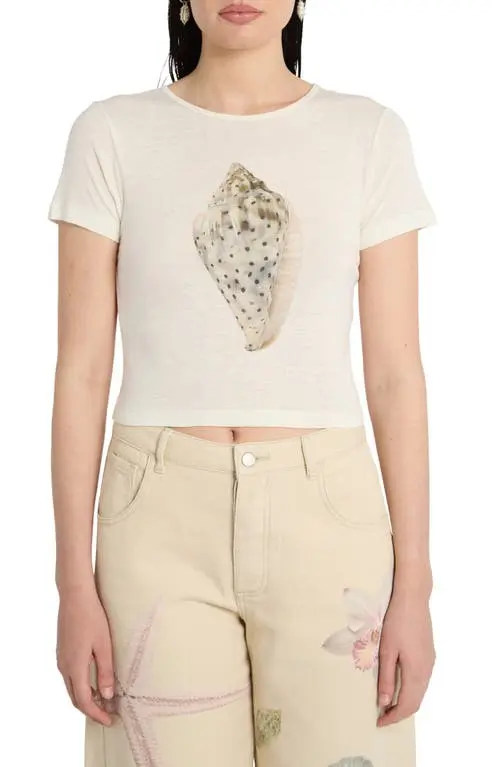 MUSE ASSEMBLY Shell Graphic Cropped T-shirt - Off White