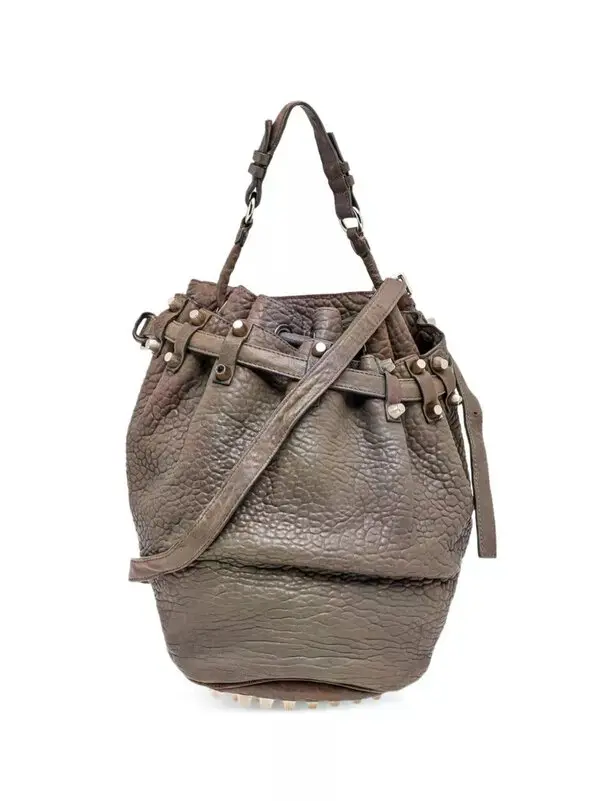 Alexander Wang Diego Calf Leather Bucket Bag - Brown