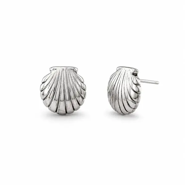 GOLD & HONEY Scallop Shell Stud Earrings