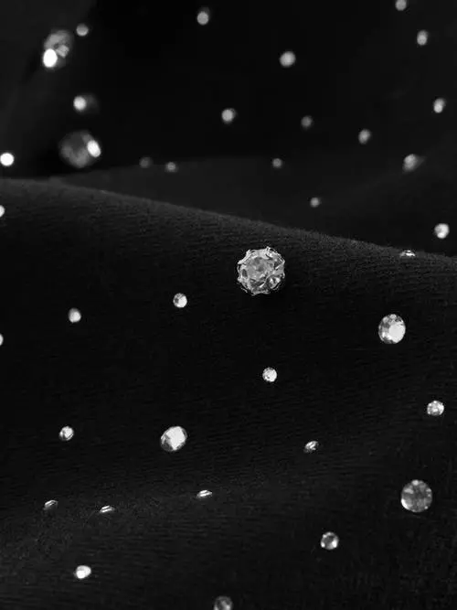 AELFRIC EDEN Rhinestone Embellished Hoodie