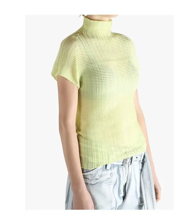 Issey Miyake Wooly Pleats-66 Top
