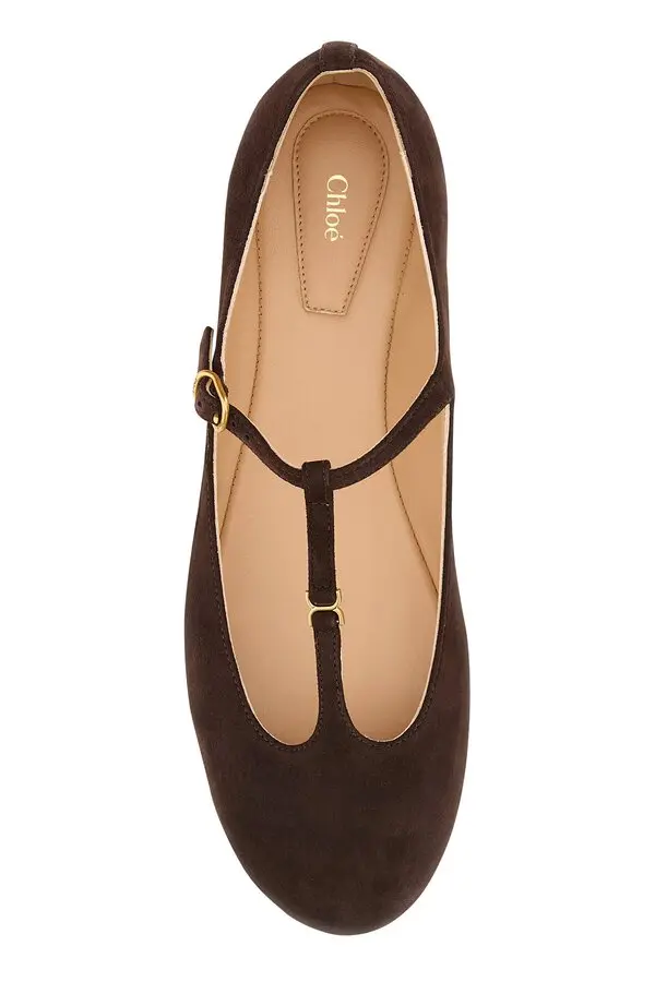 Chloé Dark Suede Marcie Ballerinas