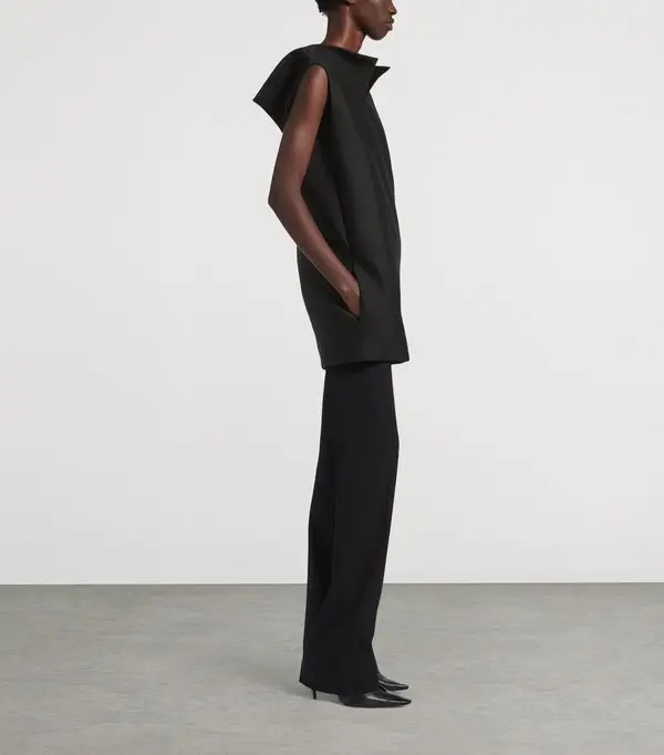 Balenciaga Vareuse Mini Dress