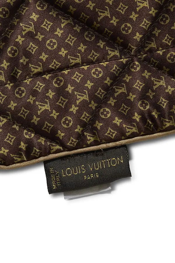 LOUIS VUITTON Monogram Pillow Muffler