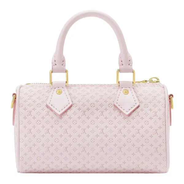 LOUIS VUITTON Nano Speedy Bag