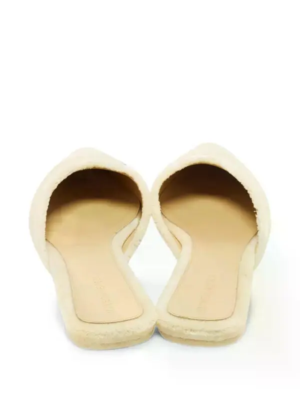 Bottega Veneta Pointed-toe Velvet Mules
