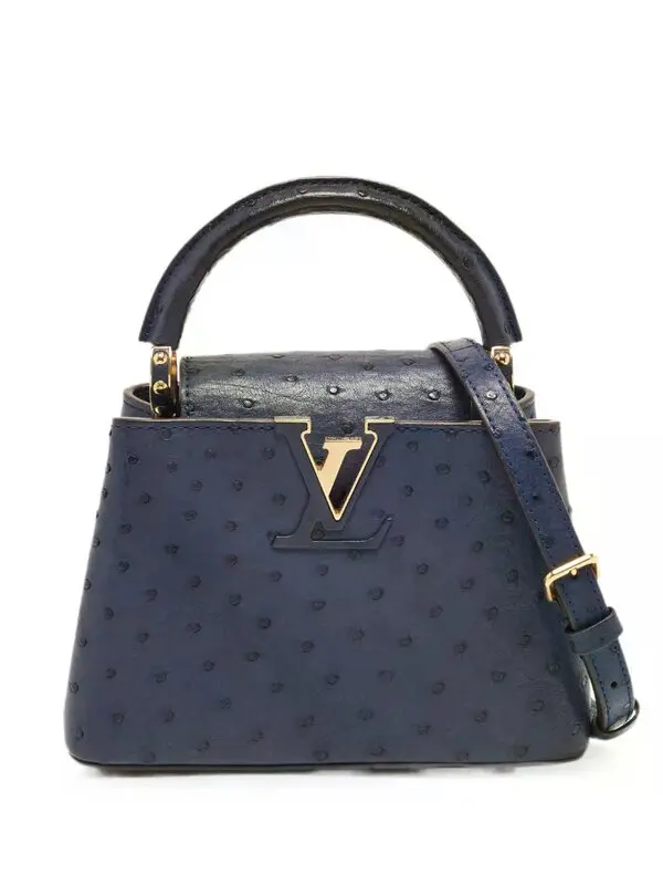 LOUIS VUITTON Mini Capucines Leather Tote Bag