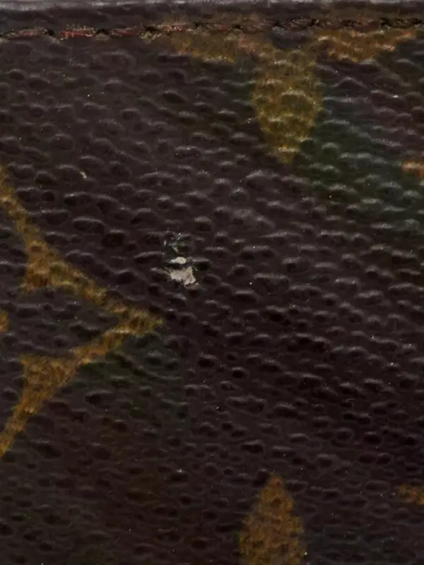 LOUIS VUITTON Pochette Accessoires Monogram Canvas Bag