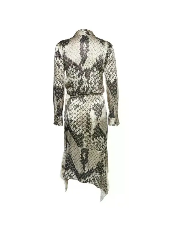 Roberto Cavalli Snakeskin-print Asymmetrical Midi Dress