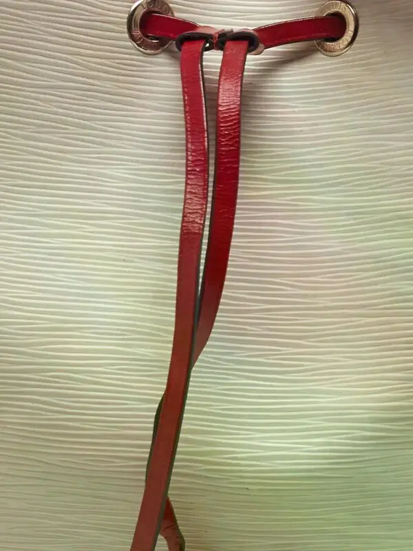 LOUIS VUITTON Néonoé Epi-leather Tote Bag - White