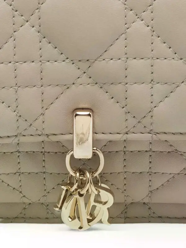 Dior 2022 My Daily Clutch Bag