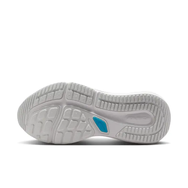 Nike Winflo Road Running Shoes