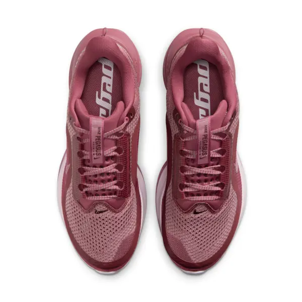 Nike Pegasus Premium Road Running Shoes