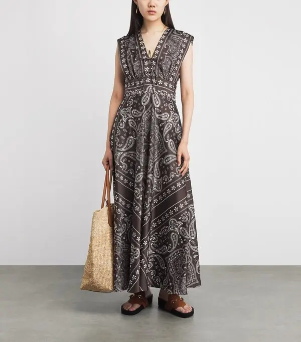 Sandro Paisley Print Sleeveless Maxi Dress - Brown