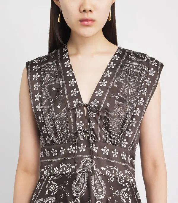 Sandro Paisley Print Sleeveless Maxi Dress - Brown
