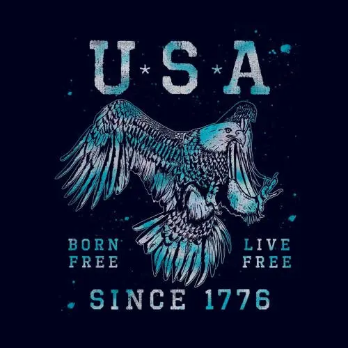 LOST GODS Usa Born And Live Free Short Sleeve Graphic T-shirt - Navy Blue