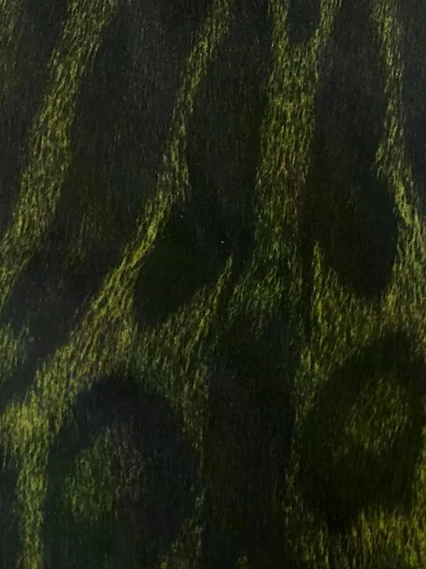 Roberto Cavalli Snakeskin-print Silk Scarf