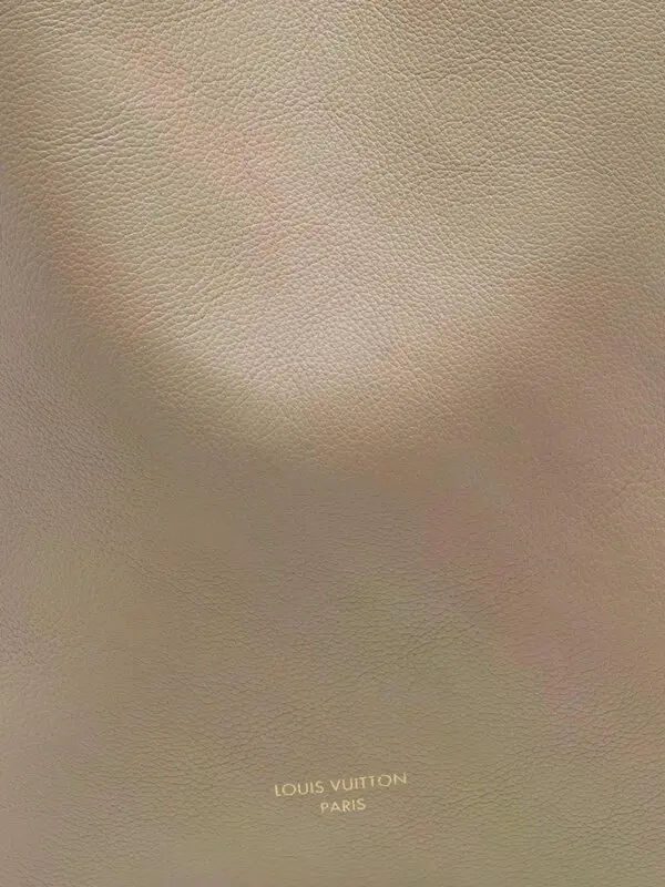 LOUIS VUITTON Low Key Leather Tote Bag