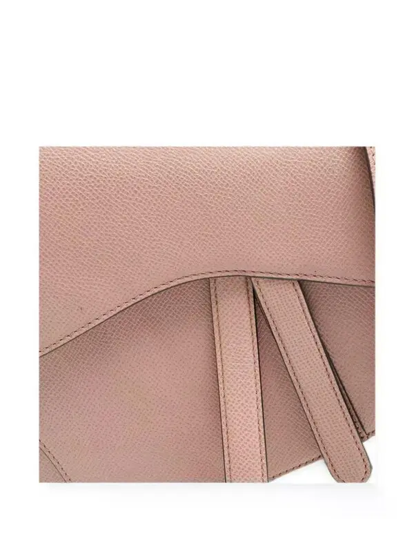 Dior 2022 Saddle Shoulder Bag