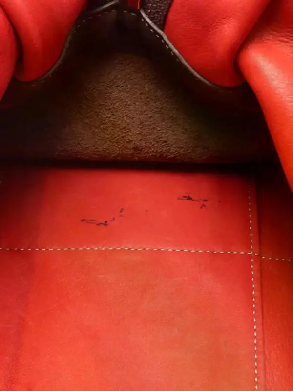 Loewe Amazona Handbag - Red