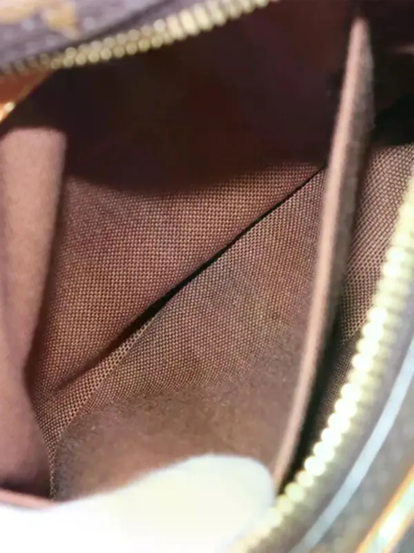 LOUIS VUITTON Monogram Danube Satchel