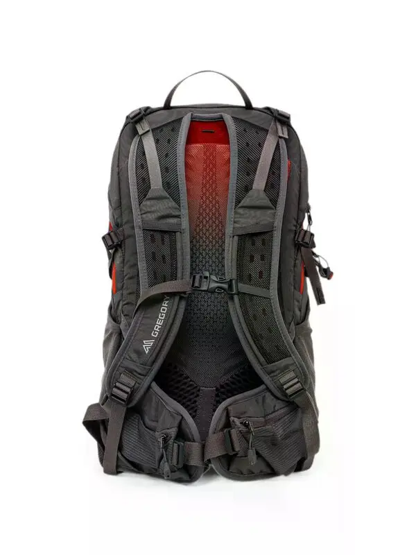 GREGORY Maya 20 Logo-print Backpack - Grey