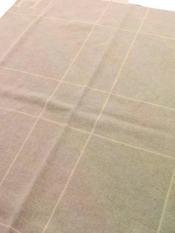 Hermès 2000s Avalon Iii Blanket