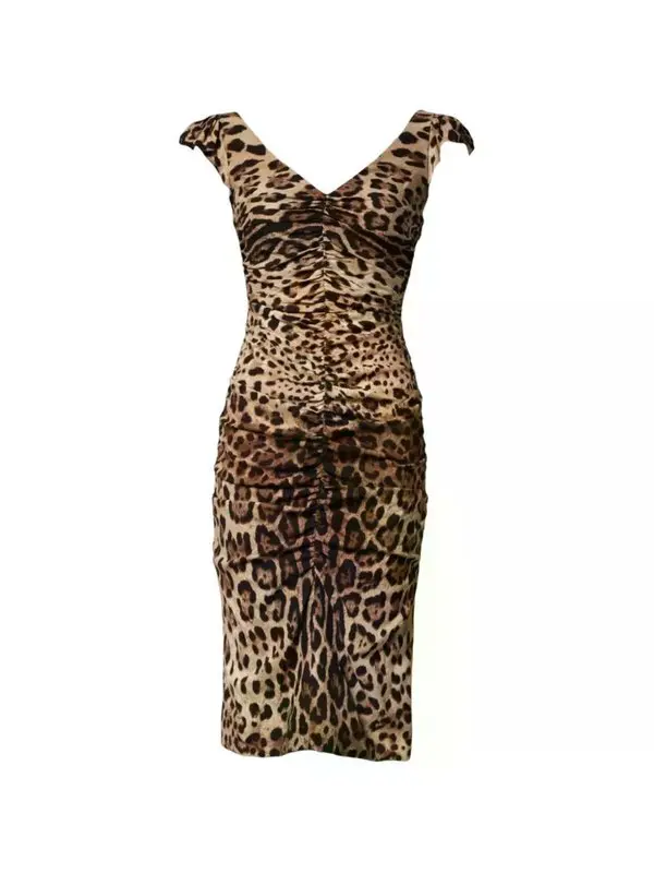 Dolce & Gabbana Leopard-print Ruched Dress