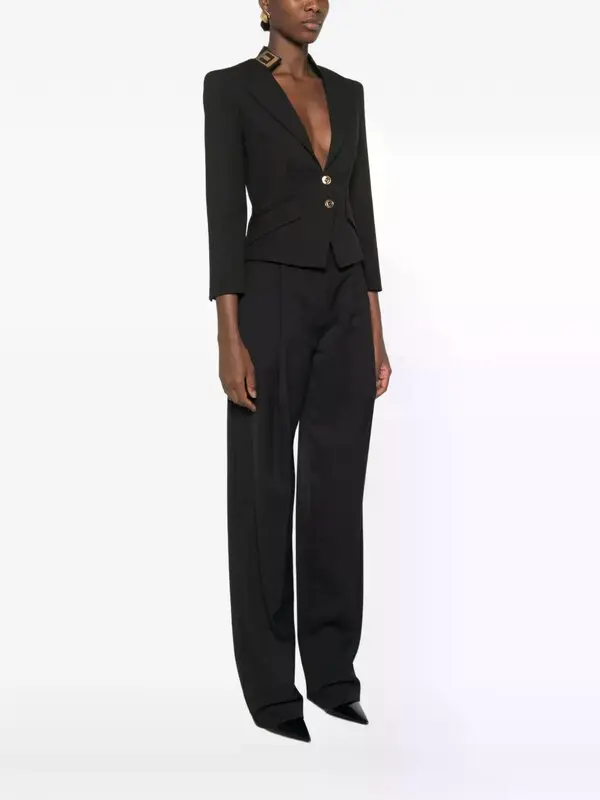 Elisabetta Franchi Double-button Peaked-lapel Blazer
