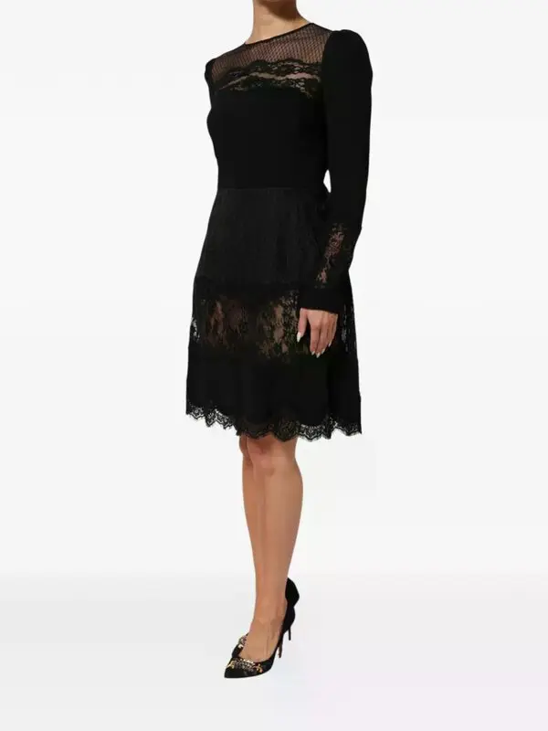 Dolce & Gabbana Floral-lace A-line Mini Dress