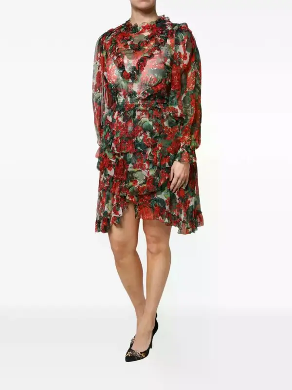 Dolce & Gabbana Asymmetrical Floral Print Ruffled Dress
