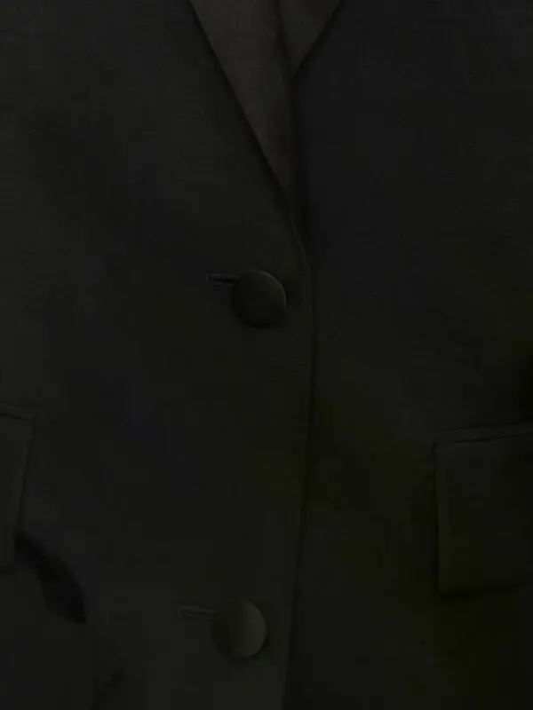 Prada Feather-trim Single-breasted Blazer