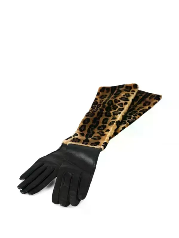 Dolce & Gabbana Leopard-print Panelled Elbow-length Gloves