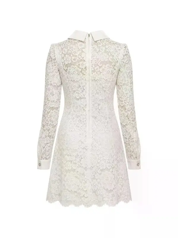 Dolce & Gabbana Floral-lace Collared Mini Dress