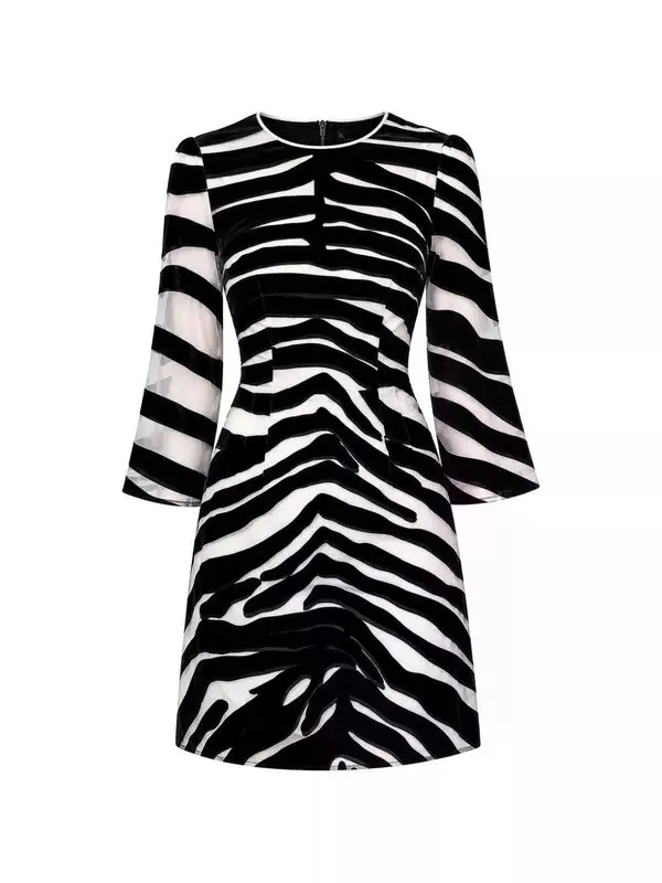 Dolce & Gabbana Zebra Print A-line Mini Dress