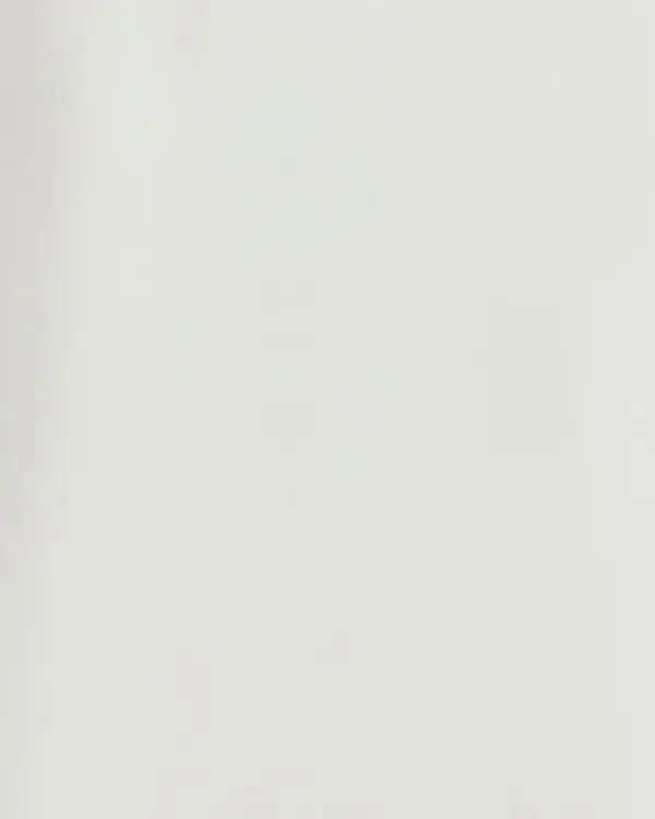 Loro Piana Cotton T-shirt Mae