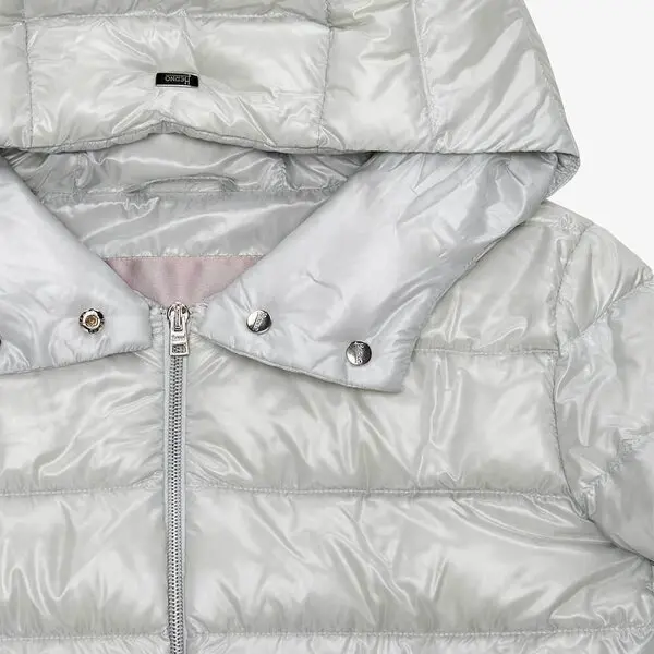 Herno Long-sleeved Padded Jacket With Hood