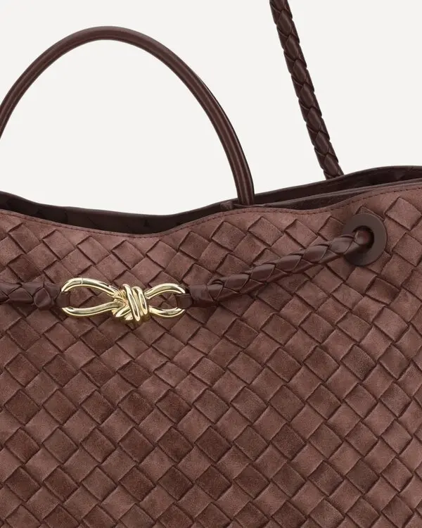 Bottega Veneta Large Andiamo Handbag