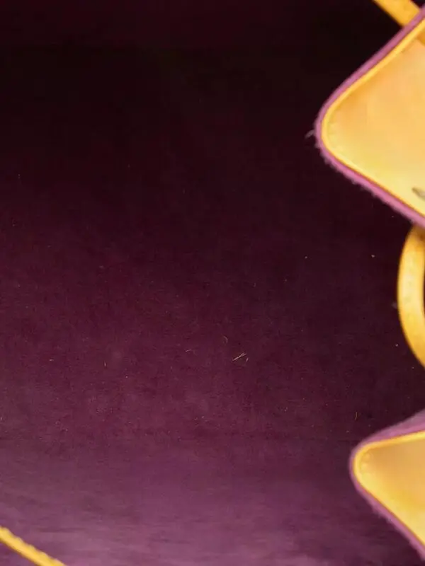 LOUIS VUITTON Epi Petit Noe Bucket Bag - Yellow