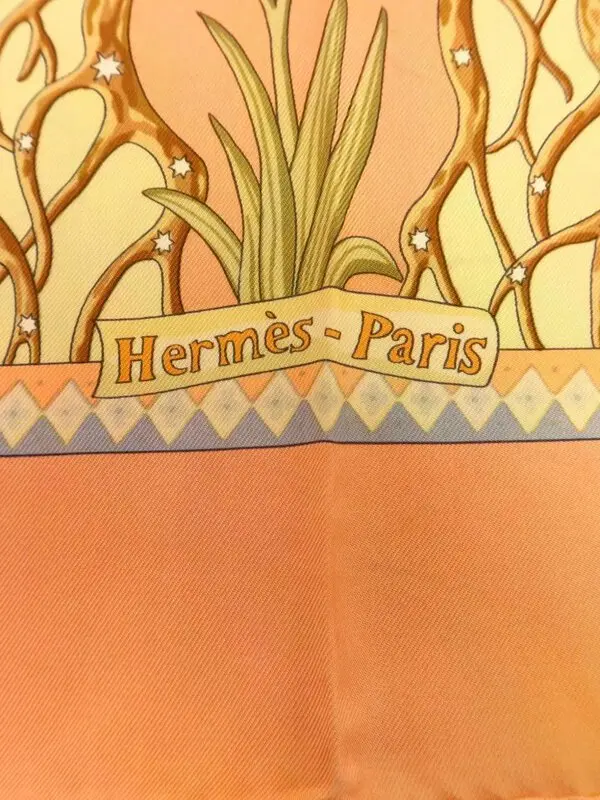Hermès Axis Mundi Scarf - Orange
