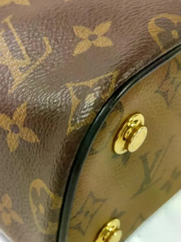 LOUIS VUITTON Monogram Reverse Vanity Shoulder Bag