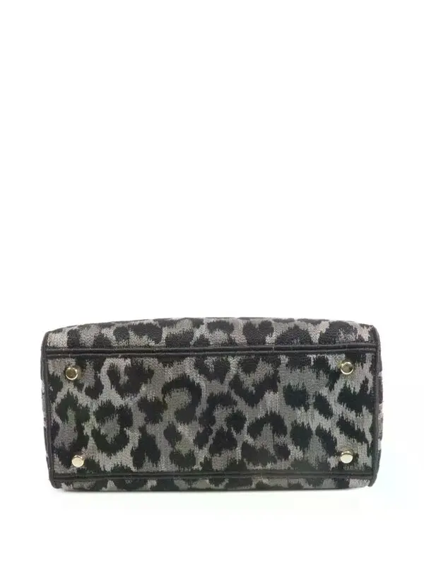Dior Lady D-lite Tote Bag - Grey