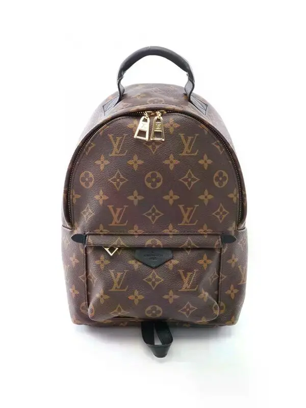 LOUIS VUITTON Monogram Palm Springs Pm Backpack - Brown